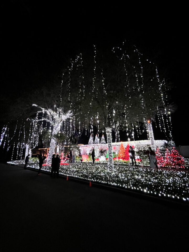 25+ Best Orlando Christmas Lights 2024 (Map + Scavenger Hunt Included ...