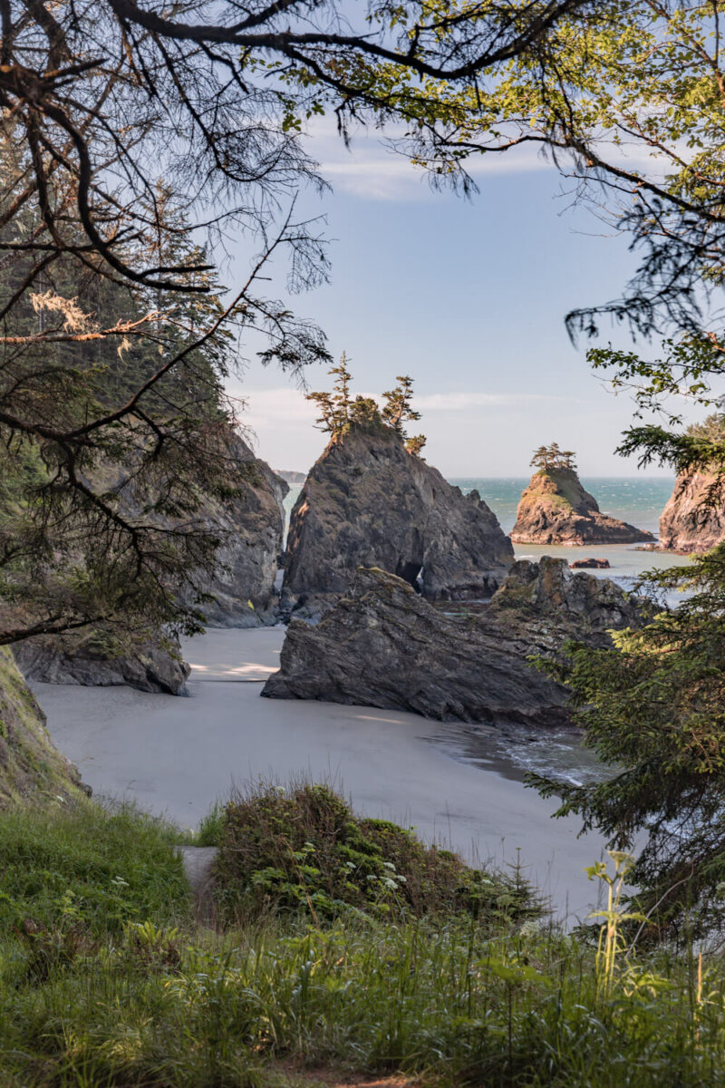 How to Get to Secret Beach Oregon (A Must See!) - Live Love Run Travel