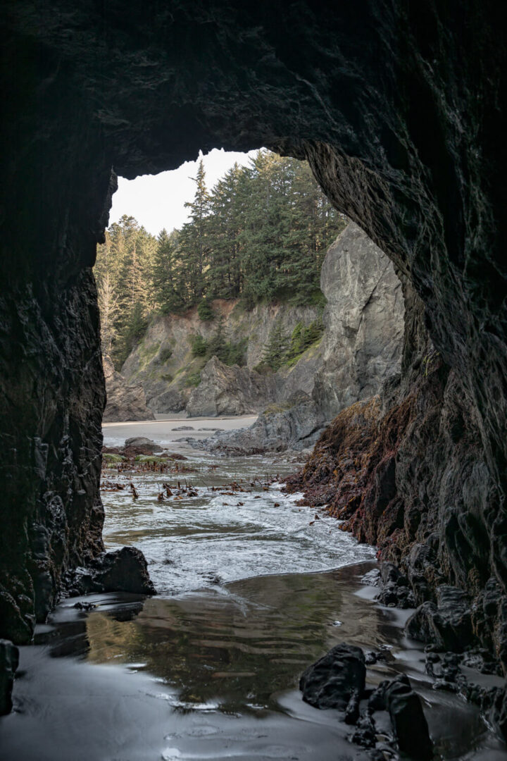 How to Get to Secret Beach Oregon (A Must See!) - Live Love Run Travel