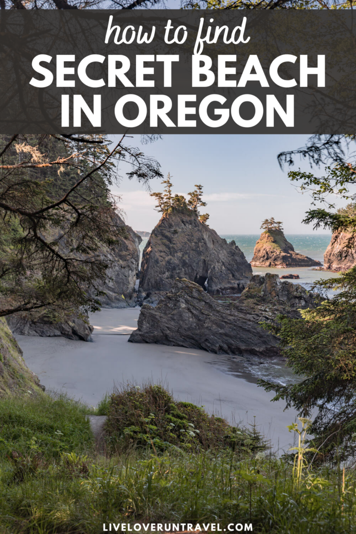 How to Get to Secret Beach Oregon (A Must See!) - Live Love Run Travel