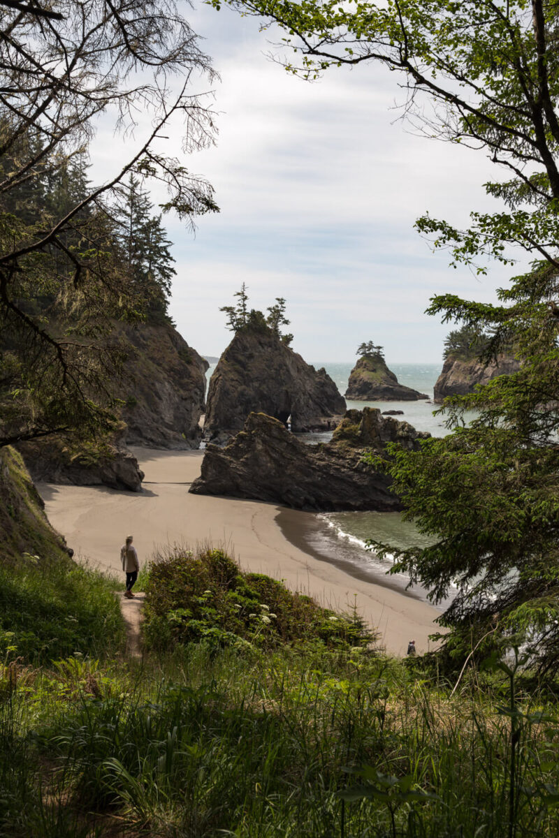 How to Get to Secret Beach Oregon (A Must See!) - Live Love Run Travel
