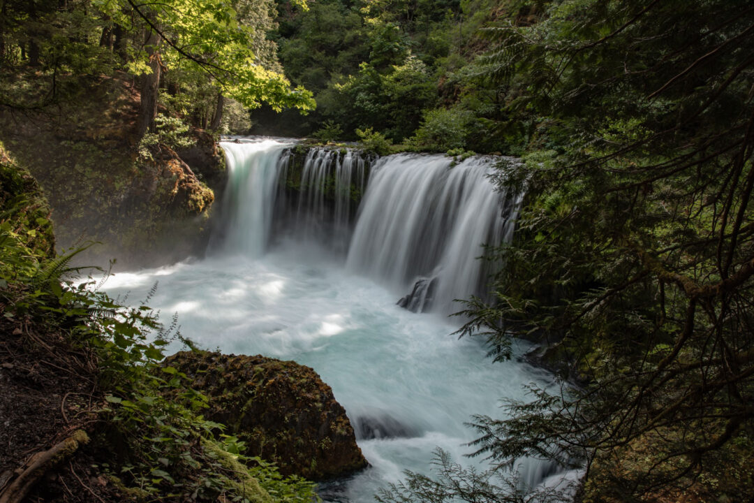 Best Waterfall Hikes Near Portland Oregon - Live Love Run Travel