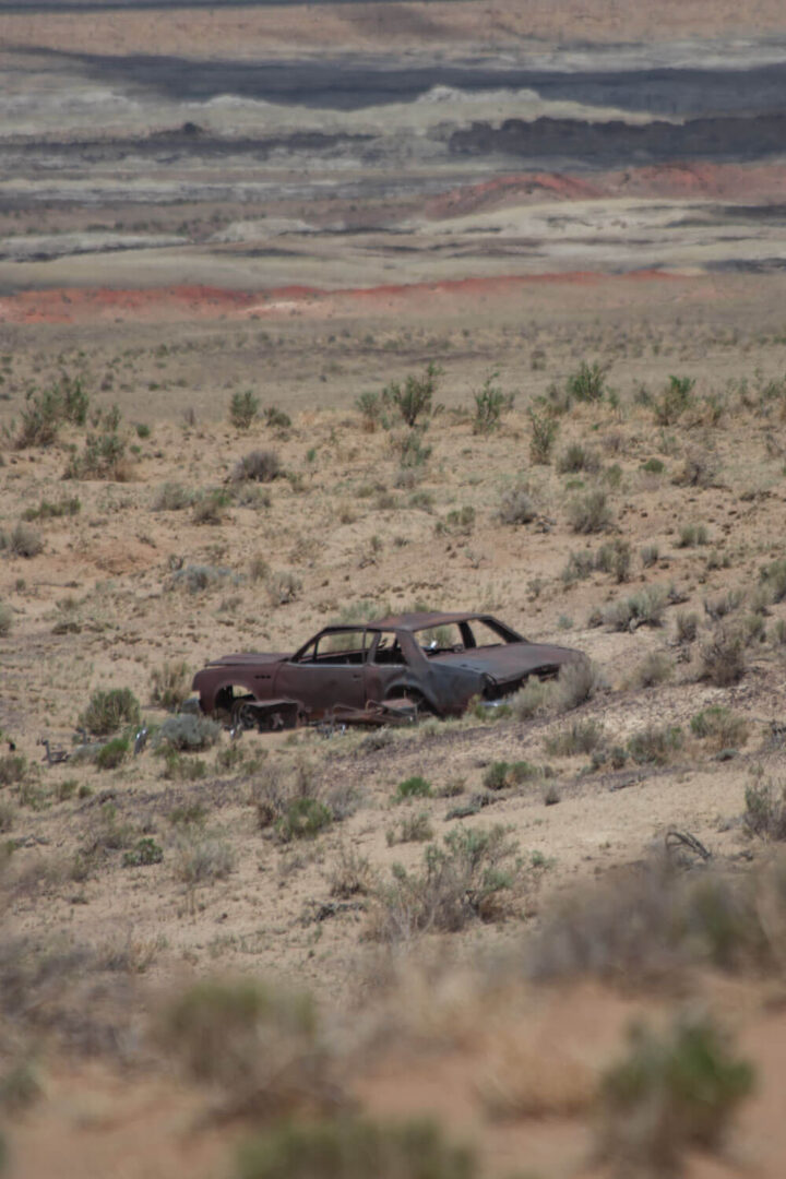 Complete Guide to Alien Throne & Valley of Dreams New Mexico - Live ...